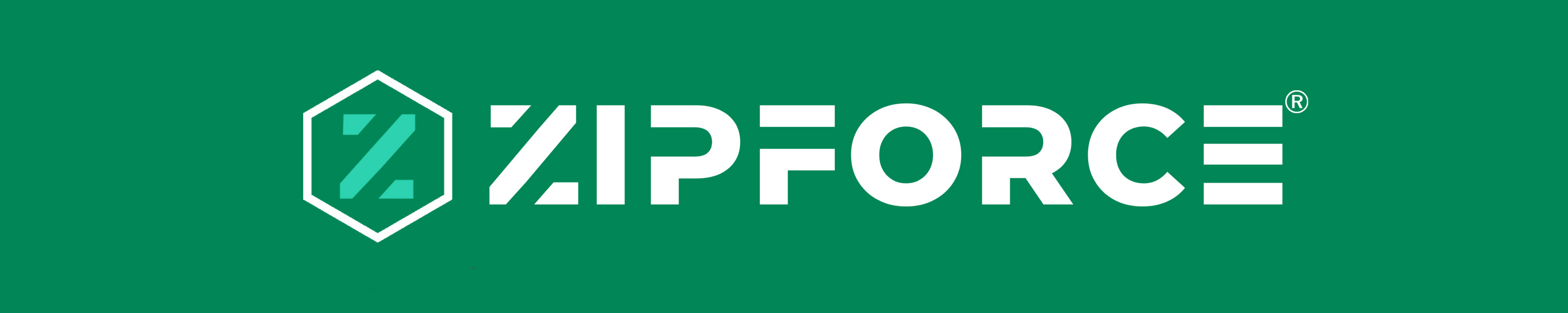 Amazon.ca: ZIPFORCE: HOT