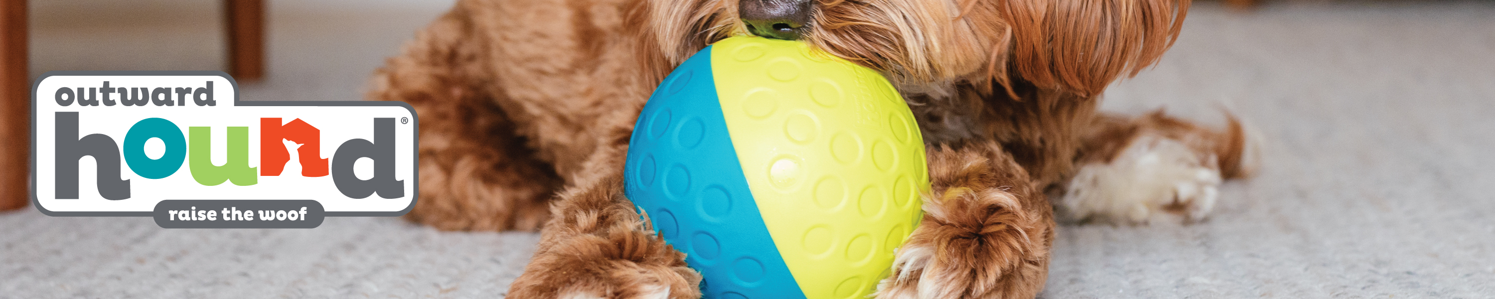 Amazon.ca: Outward Hound : Level 1 Treat Puzzles