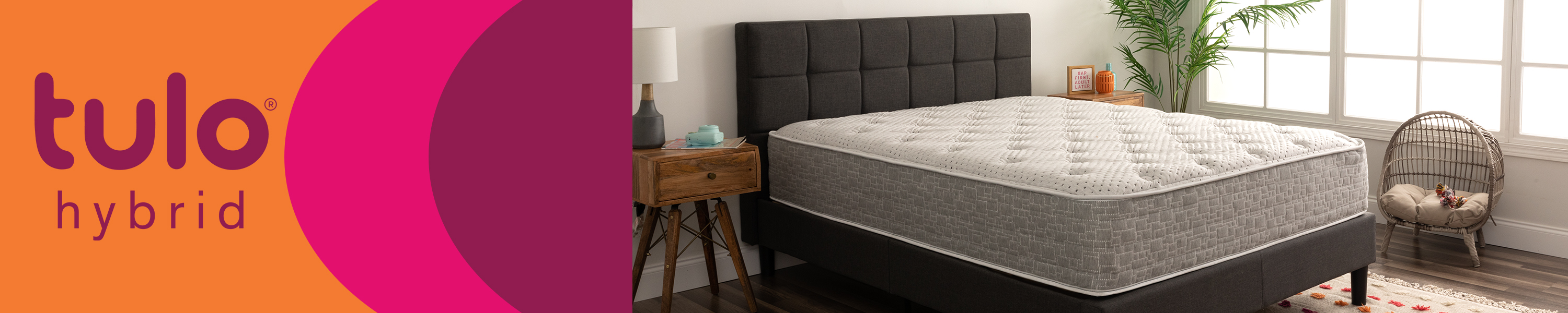 Amazon.com: Mattress Firm: tulo