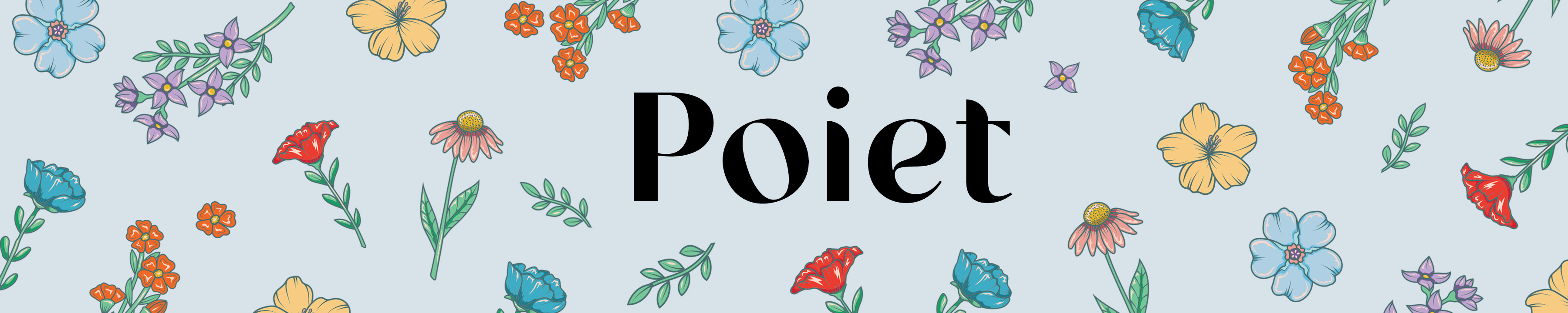Amazon.com: poiet