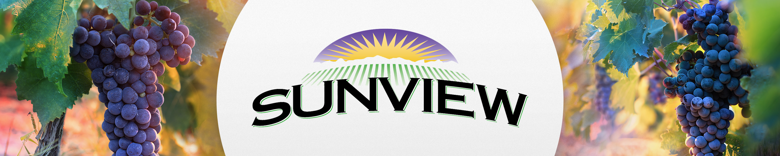Amazon.com: Sunview