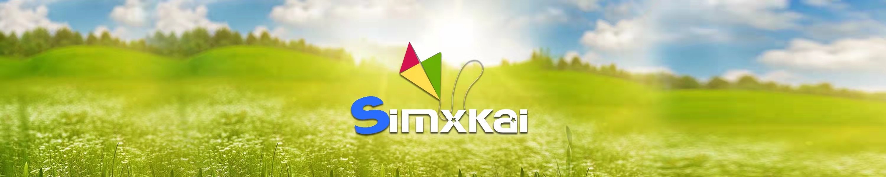 Amazon.com: Simxkai Kite: Kite