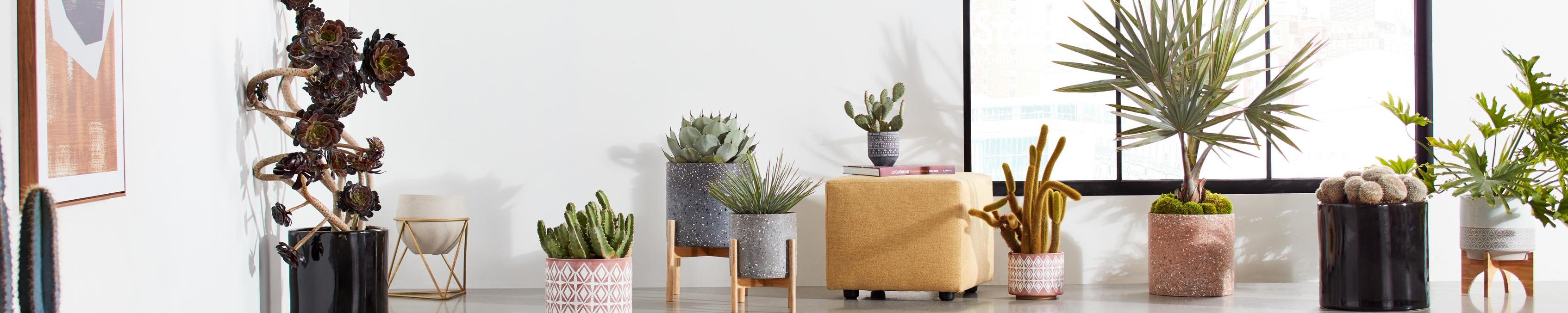 Amazon.com: Rivet: Décor