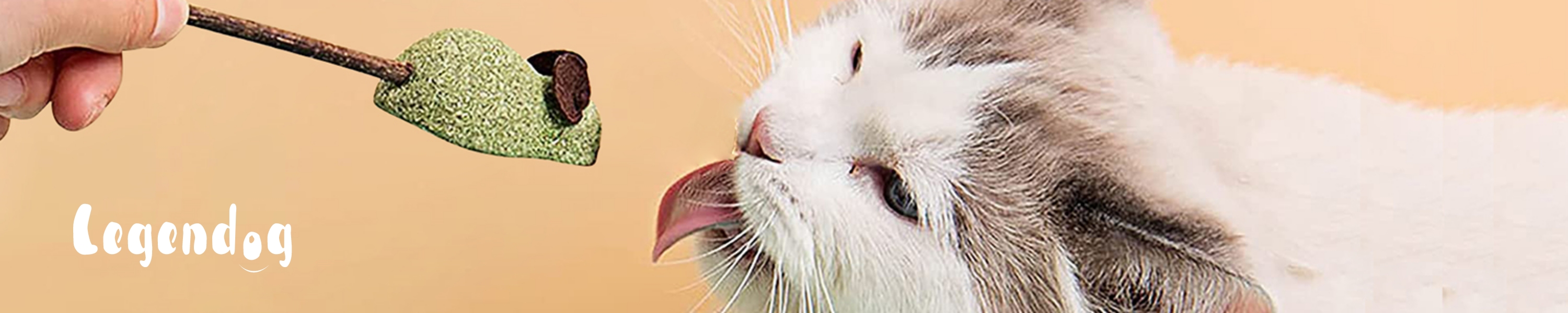 Amazon.com: Legendog: Cat