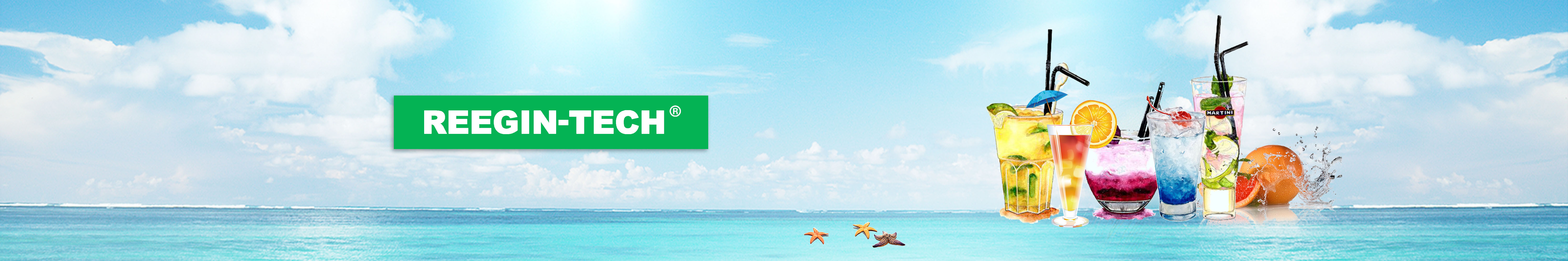 Amazon.com: REEGIN-TECH: Ice cream machine