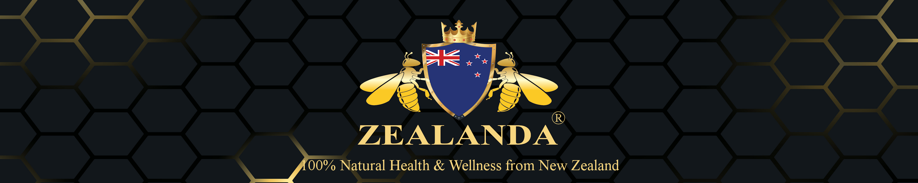 Amazon.com: ZEALANDA