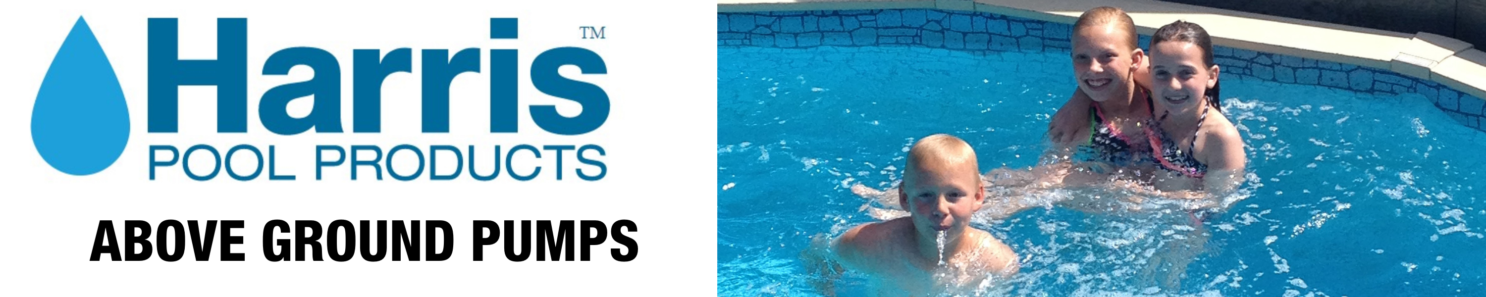 Amazon.com: Harris Pool Products: Above Ground Pumps