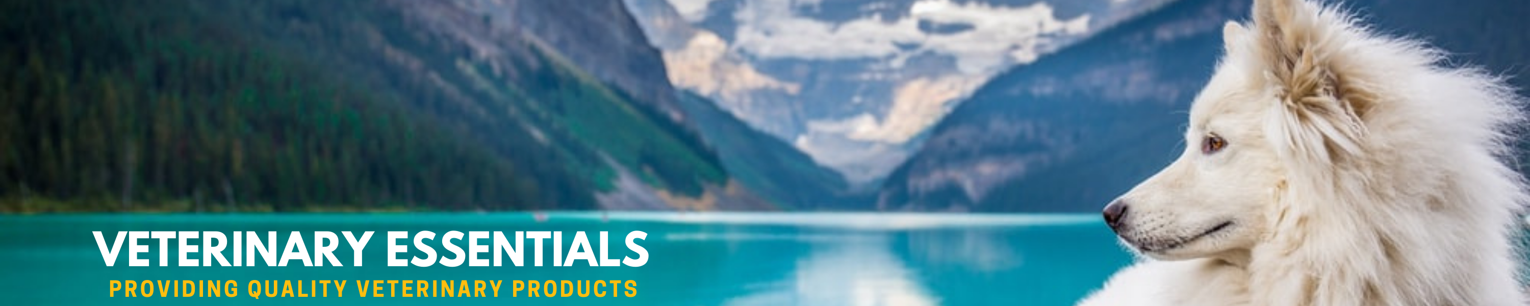 Amazon.com: Dr. Boes Veterinary Essentials