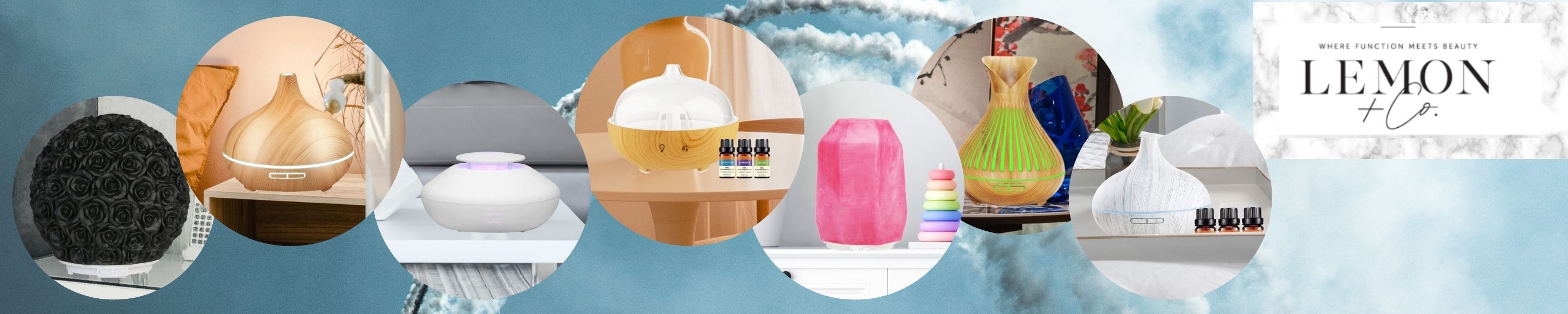 Amazon.com: Lemon + Co