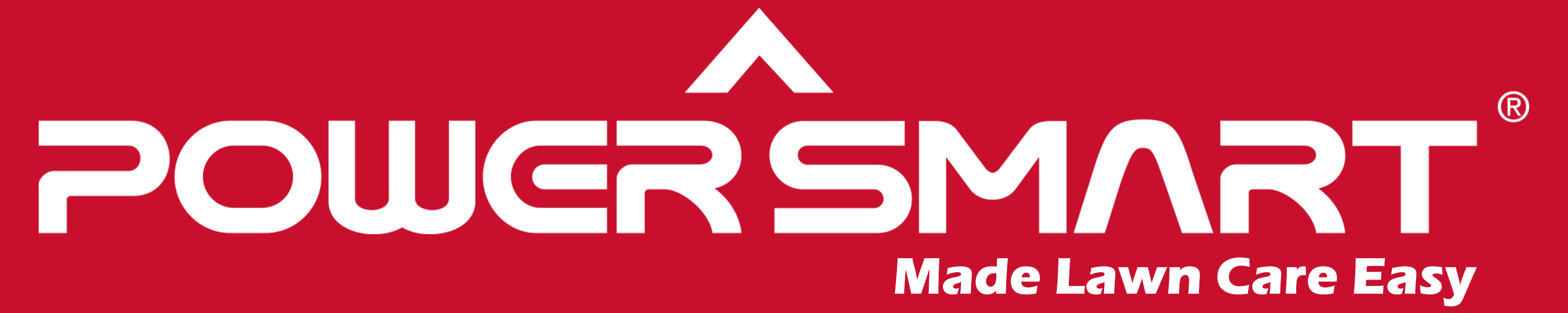 Amazon.com: PowerSmart