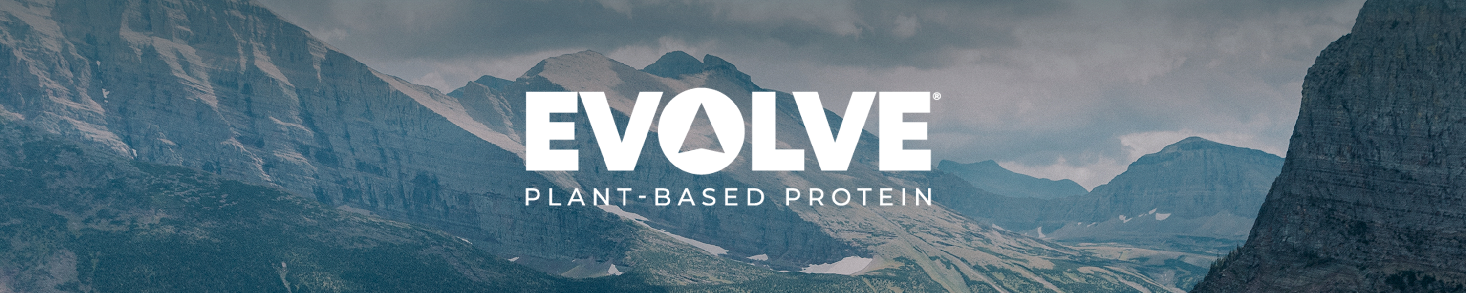 Amazon.com: Evolve