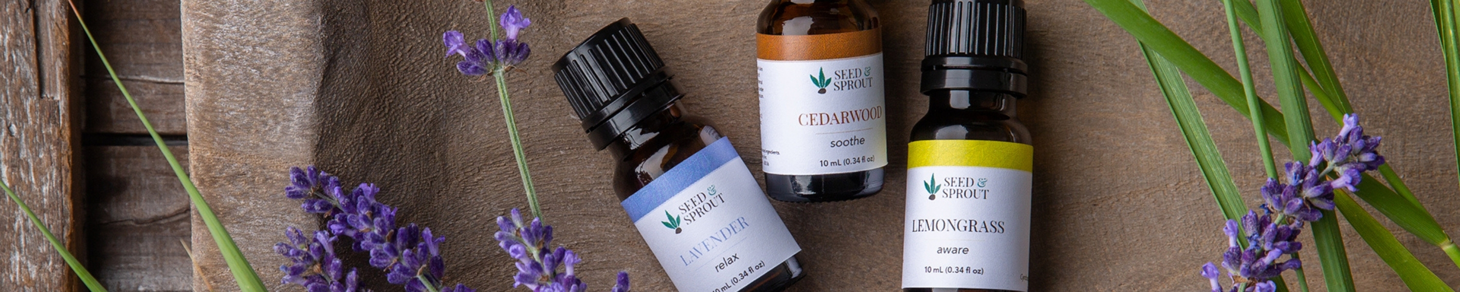Amazon.com: SEED & SPROUT: Gift Sets