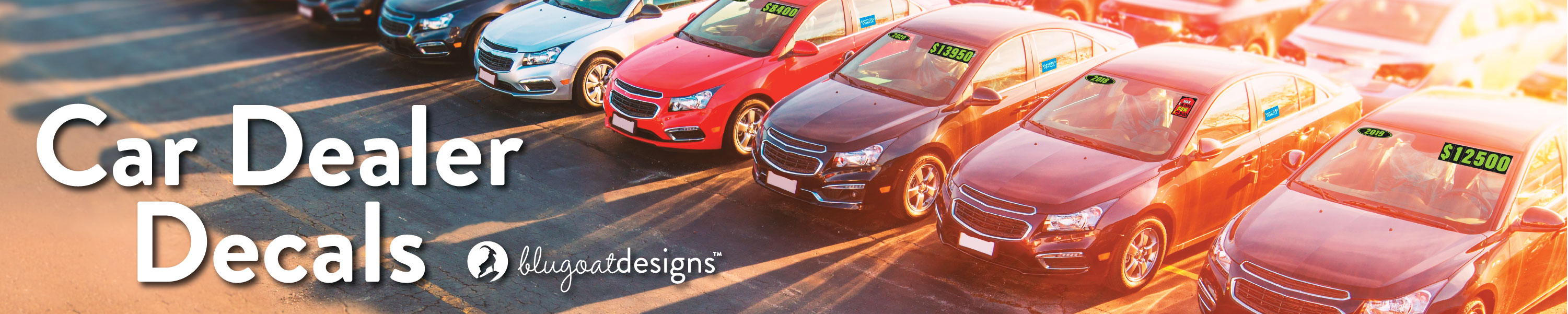 Amazon.com: BLUGOAT DESIGNS: Car Dealer Stickers