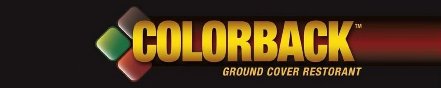 Amazon.com: COLORBACK