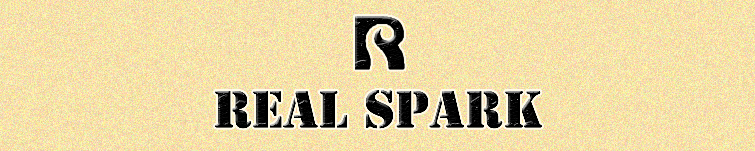 Amazon.com: Real Spark: ACCESSORIES