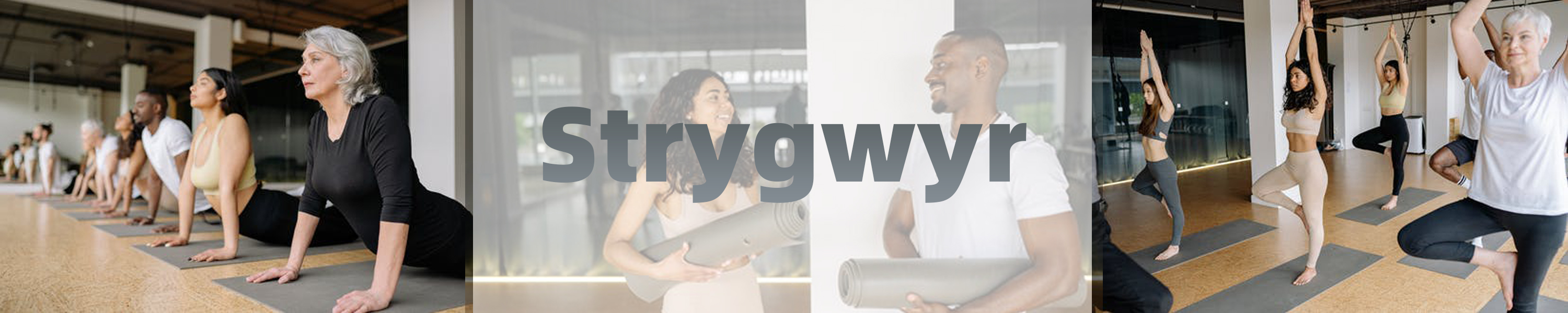 Amazon.com: Strygwyr