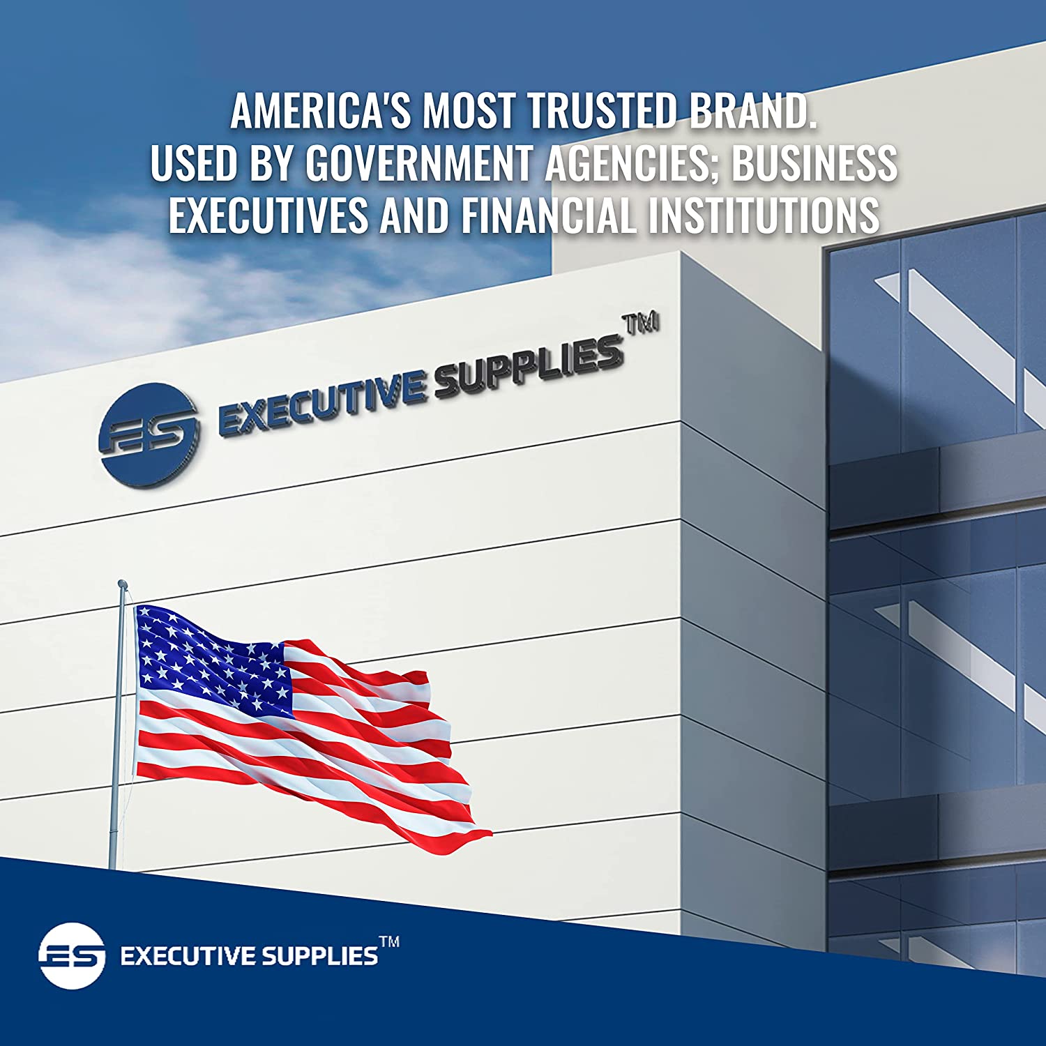 Amazon.com: EXECUTIVE SUPPLIES: Business Checks