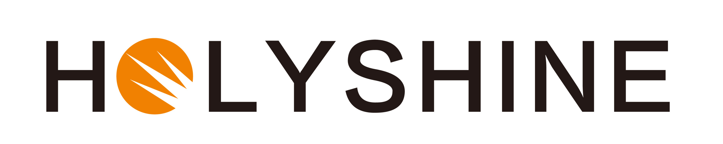 Amazon.com: HOLYSHINE