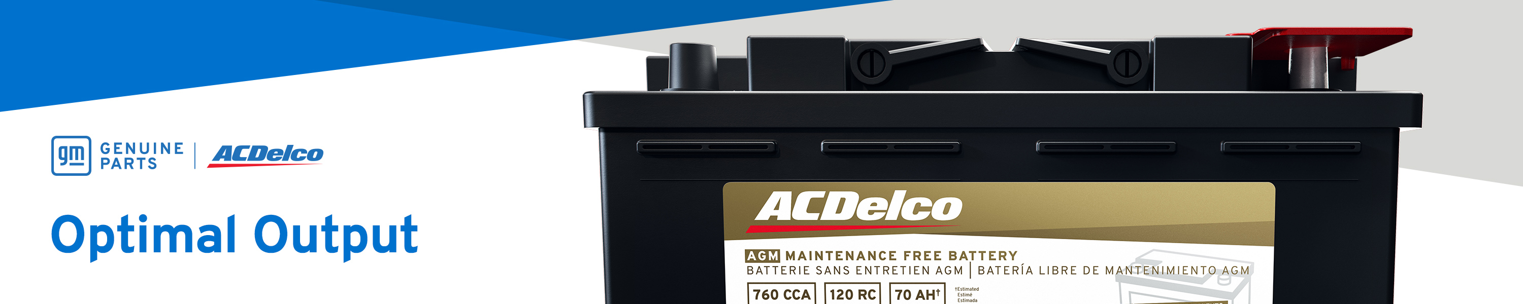 Amazon.com: ACDelco: Batteries