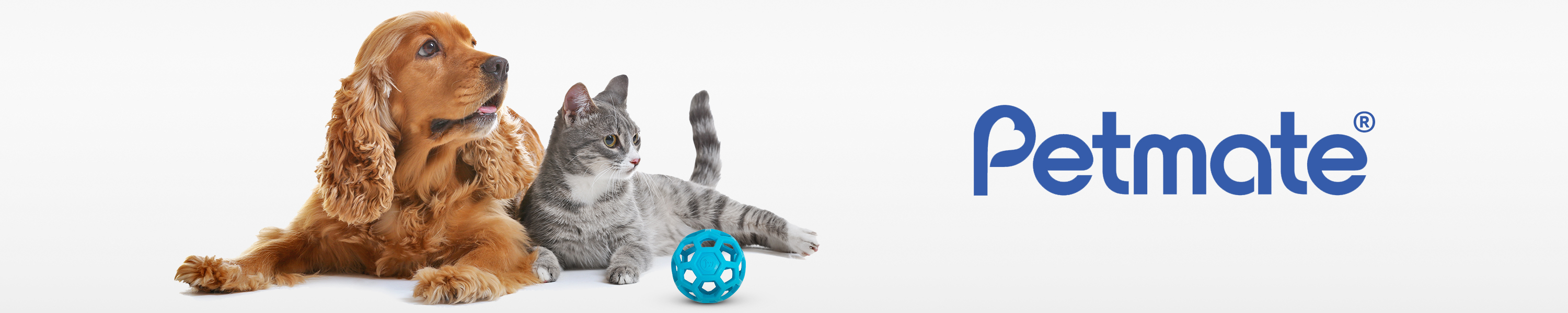 Amazon.com: Petmate: Petmate