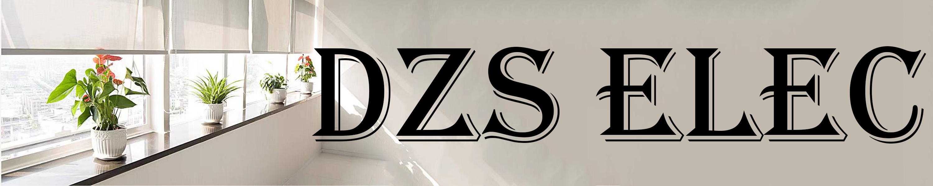 Amazon.com: DZS ELEC