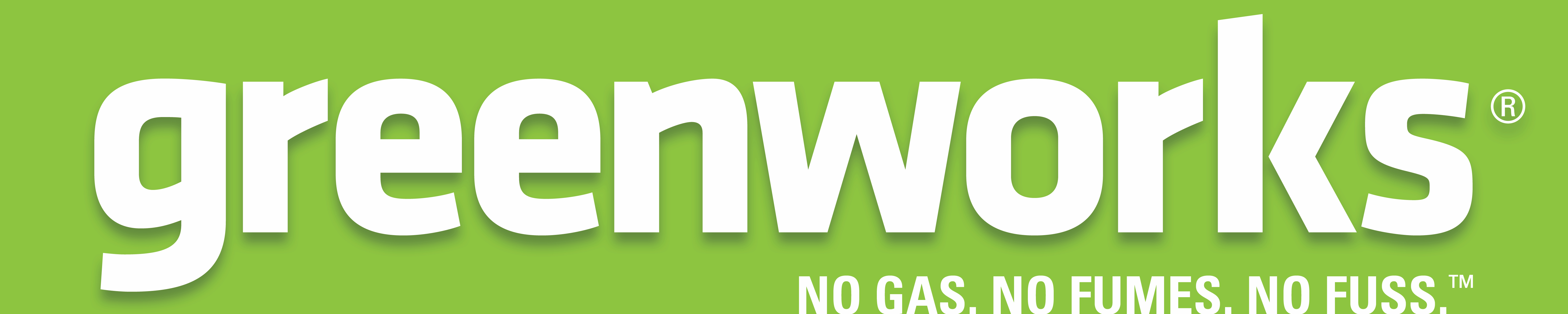 Amazon.com: Greenworks
