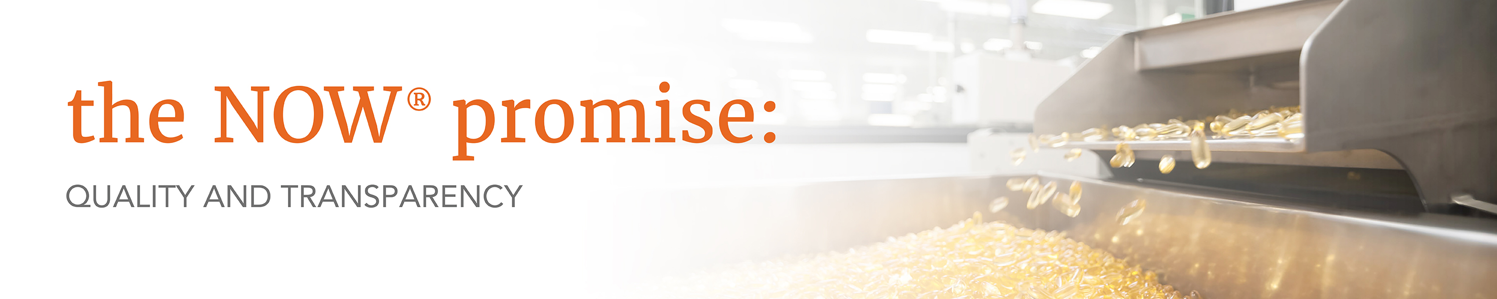 Amazon.com: NOW: Quality