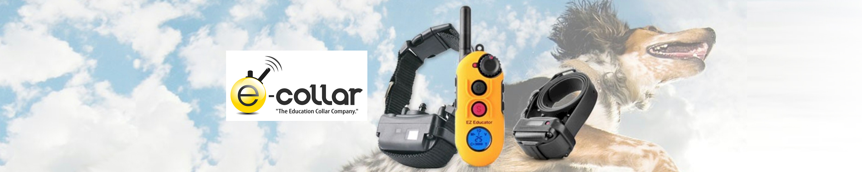 Amazon.com: E-Collar Educator: Dog Training Collars Buying Guide