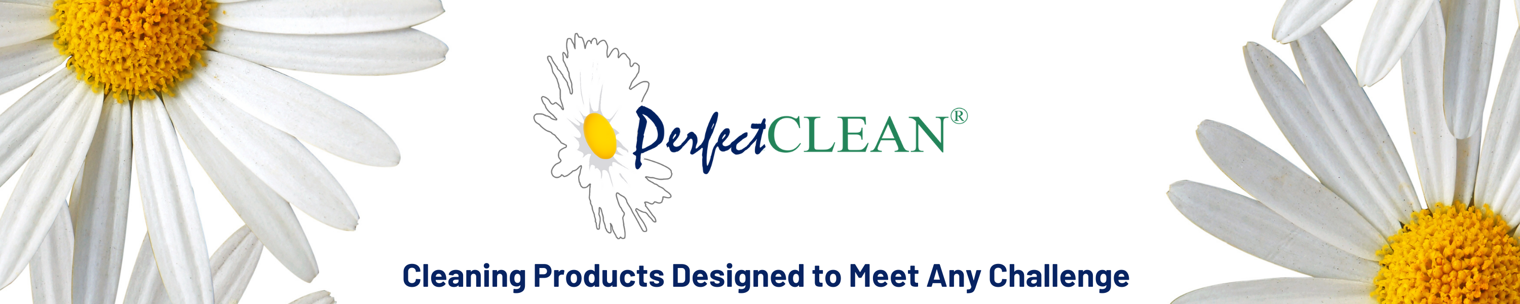 Amazon.com: PerfectCLEAN