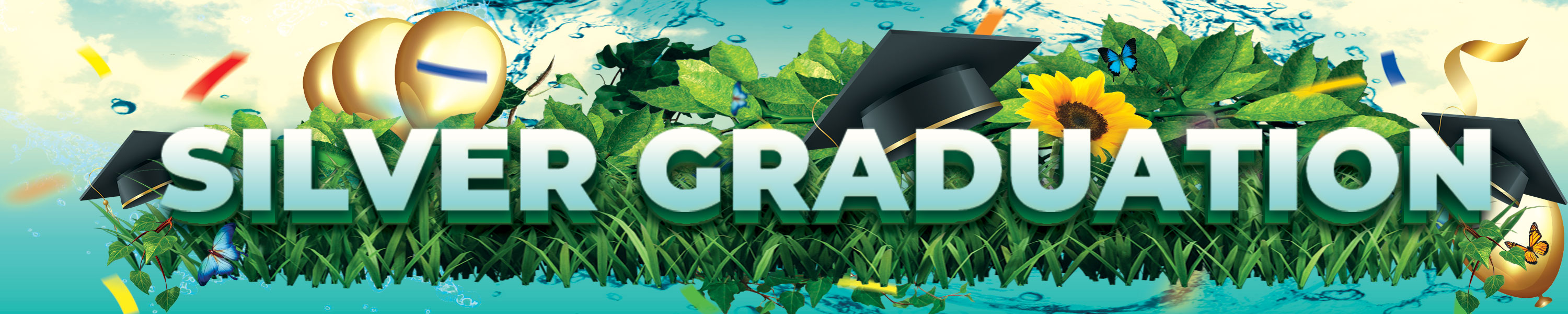 Amazon.com: VictoryStore: Silver Graduation