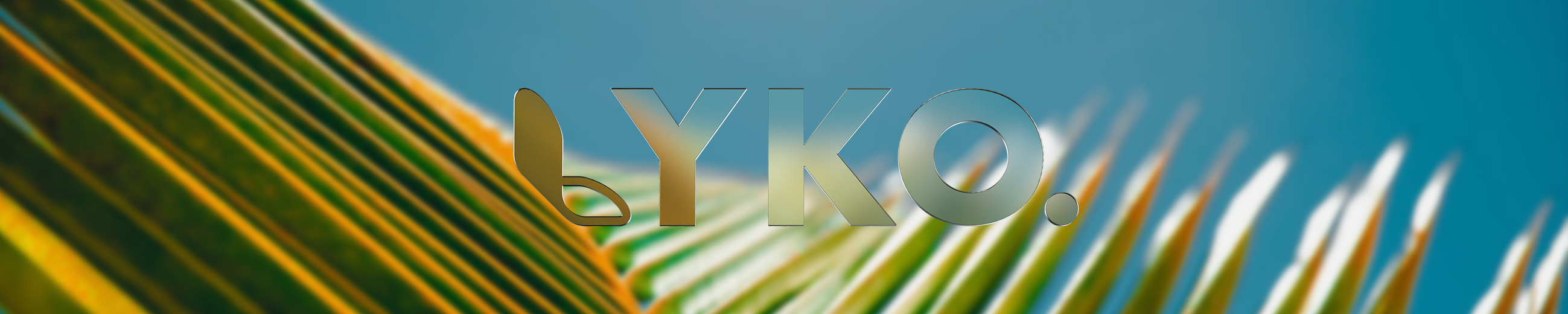 Amazon.com: LYKO