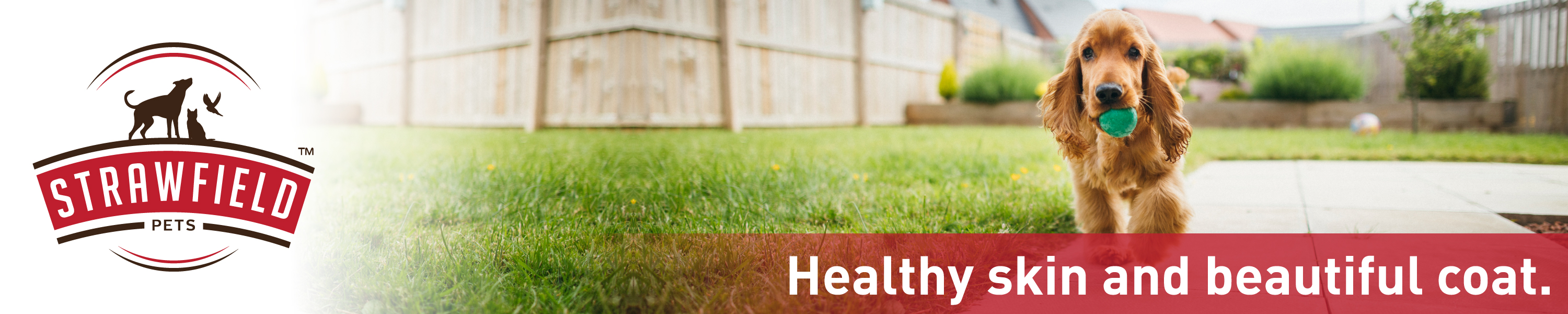 Amazon.com: Strawfield Pets: Hygiene & Skin Treatments