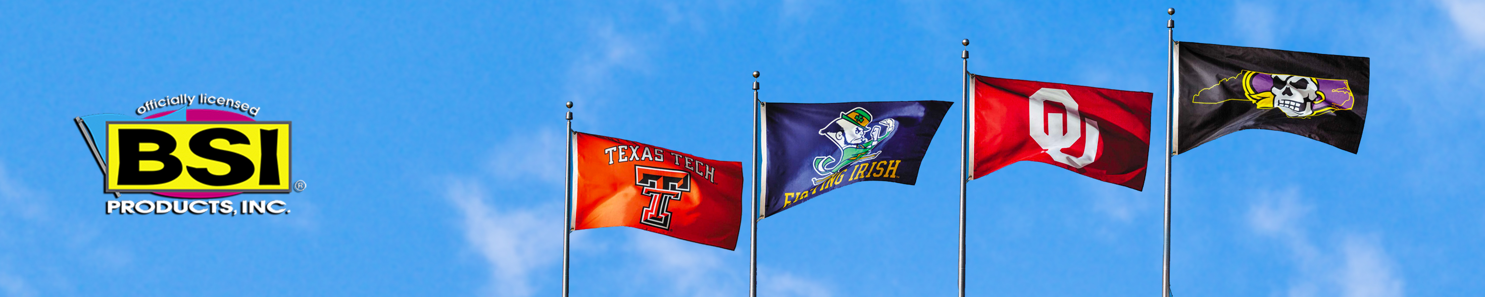 Amazon.com: BSI: Flags