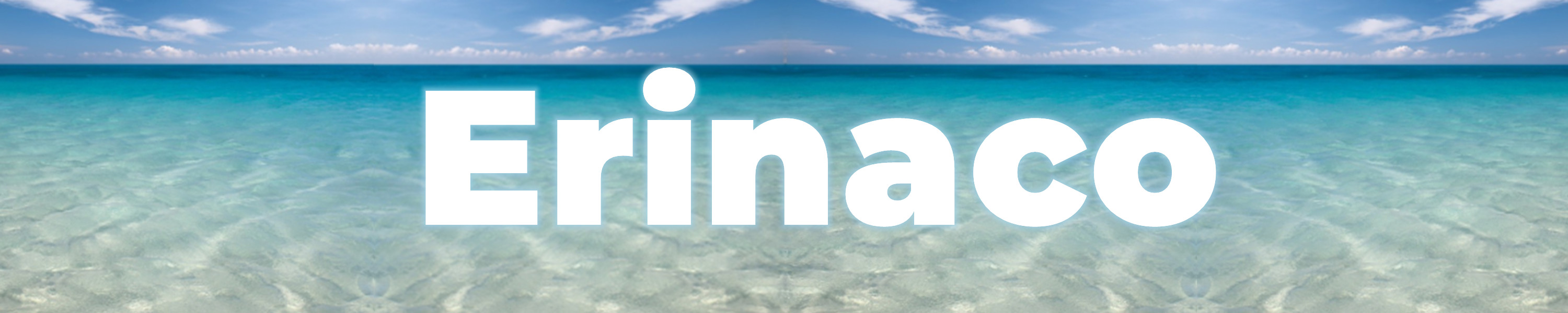 Amazon.com: Erinaco: Reflective Crop Top