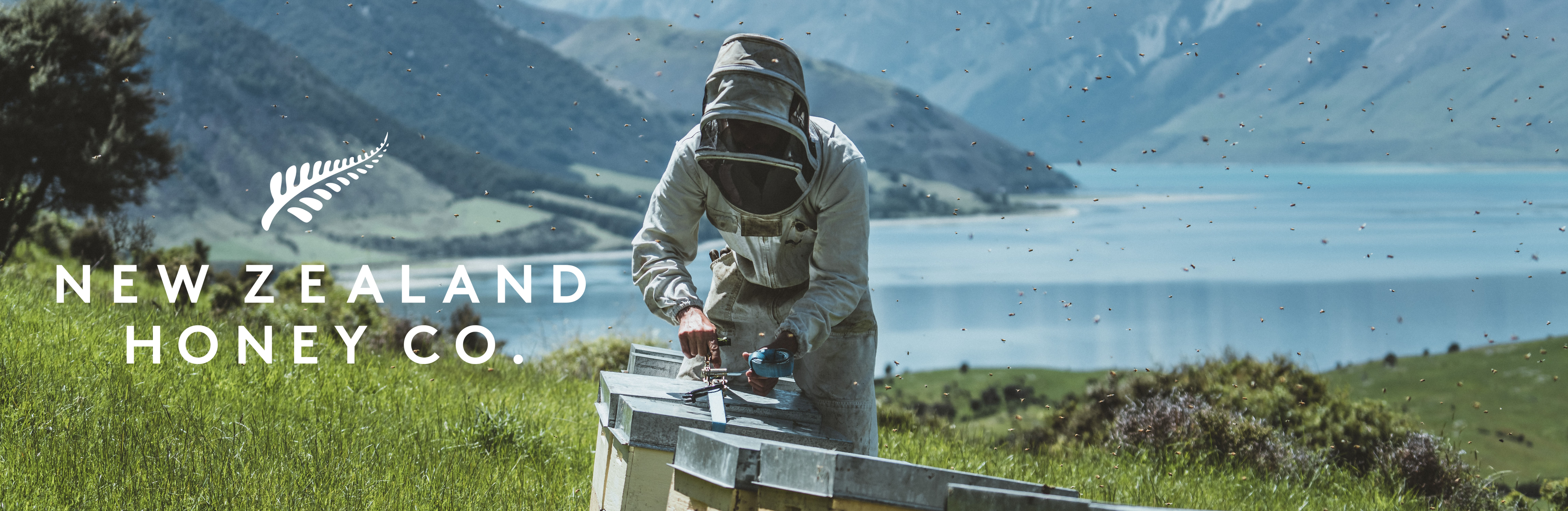 Amazon.ca: NEW ZEALAND HONEY CO