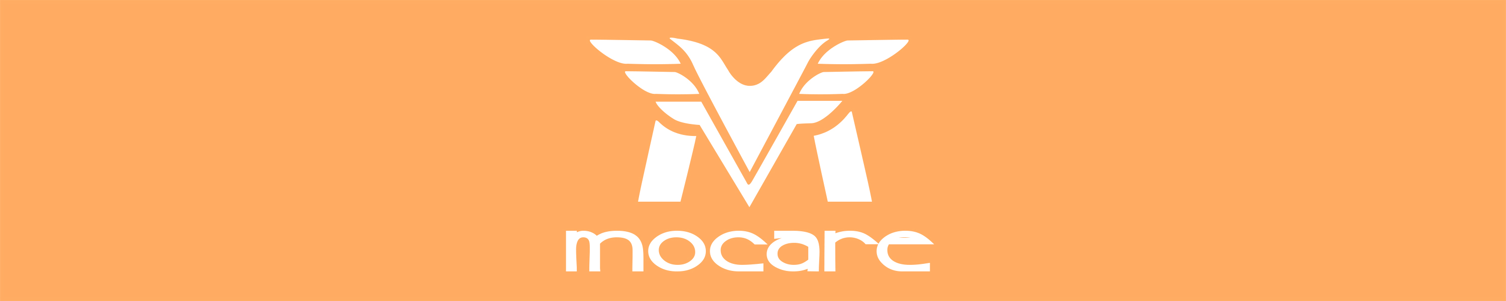 Amazon.ca: Mocare: Toiletry Bags