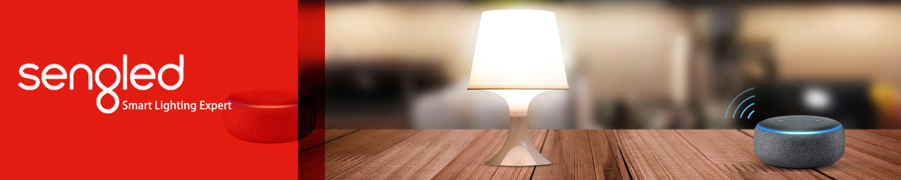 Amazon.ca: Sengled: VOICE