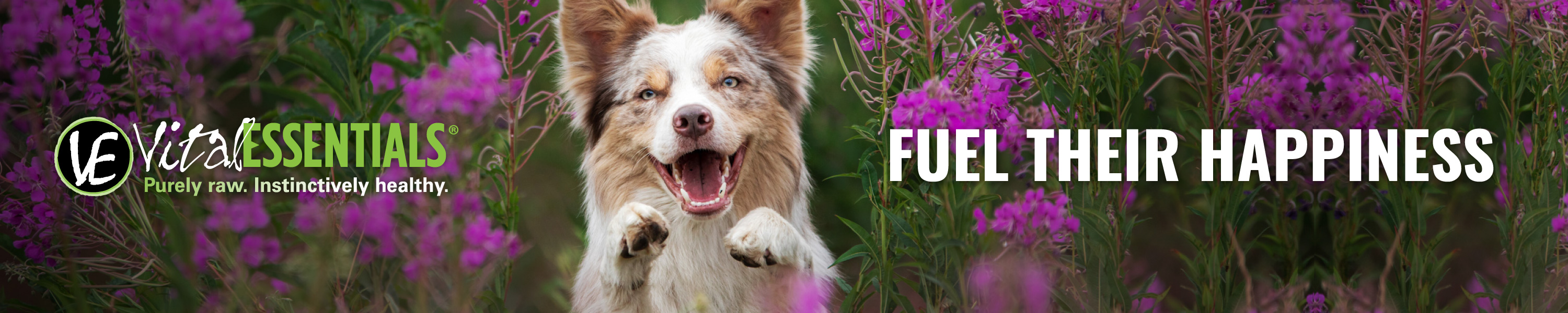 Amazon.com: Vital Essentials