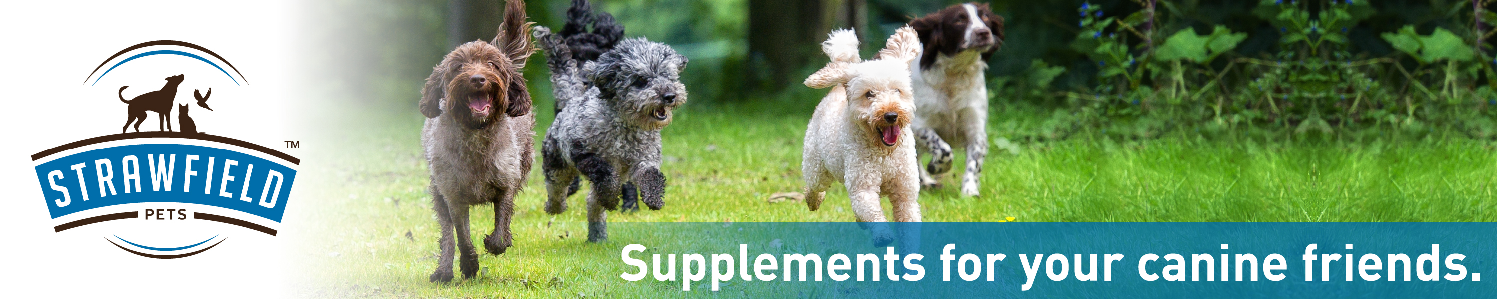 Amazon.ca: Strawfield Pets: Dog Supplements