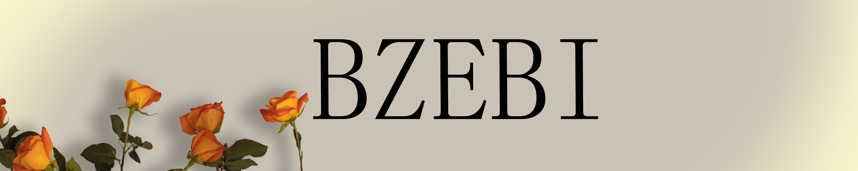 Amazon.com: BZEBI: ADJUSTABLE RINGS