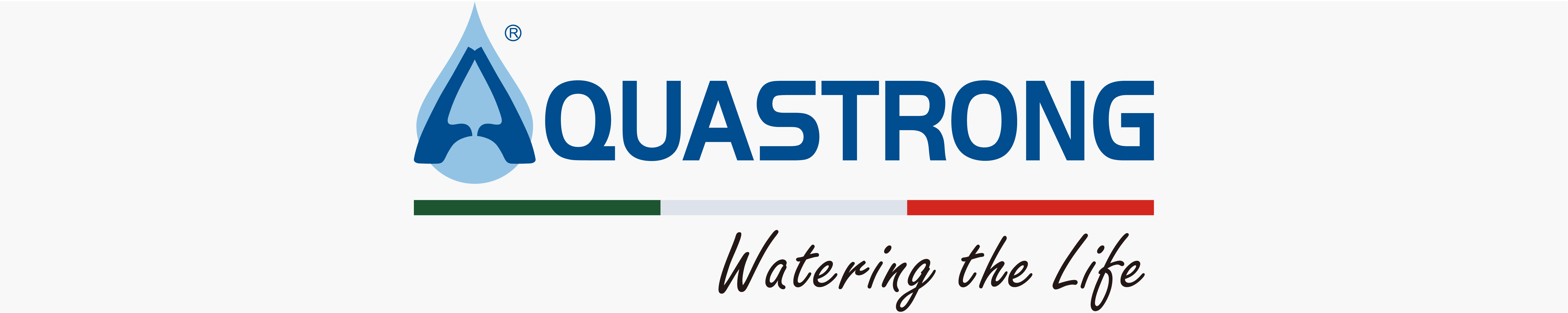 Amazon.com: AQUASTRONG——POWER YOUR WATER: SHALLOW WELL PUMP