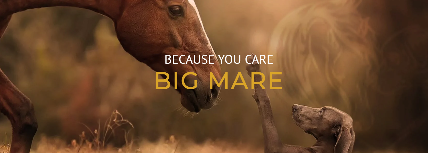 Amazon.com: Big Mare: Canine Products