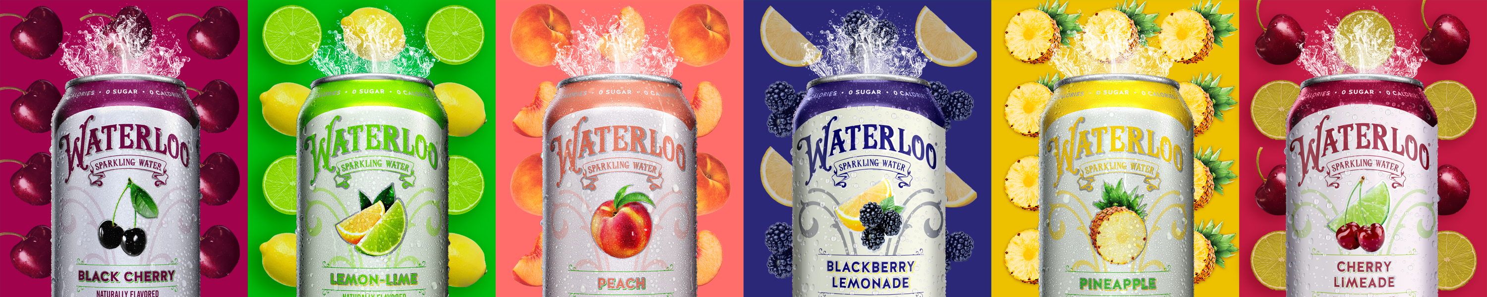 Amazon.com: Waterloo Sparkling Water