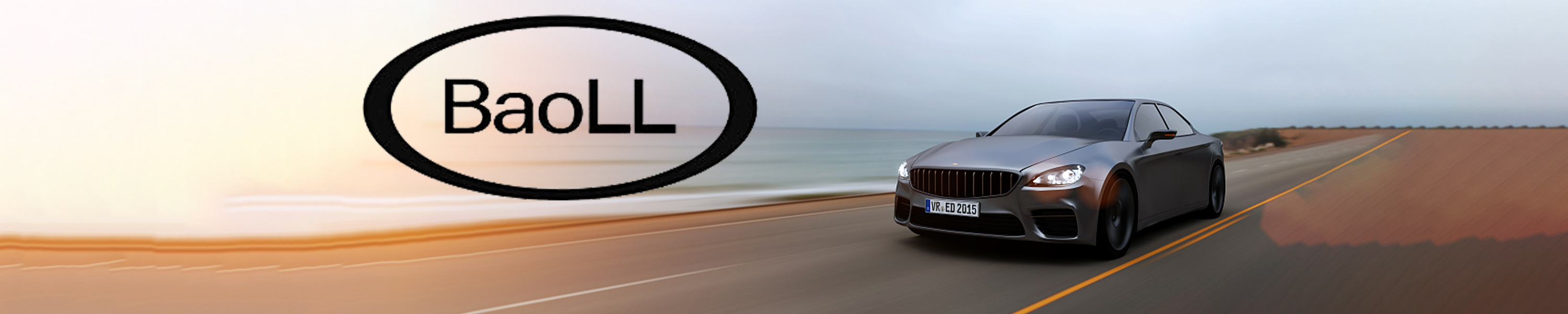 Amazon.com: BaoLL Leather seat covers