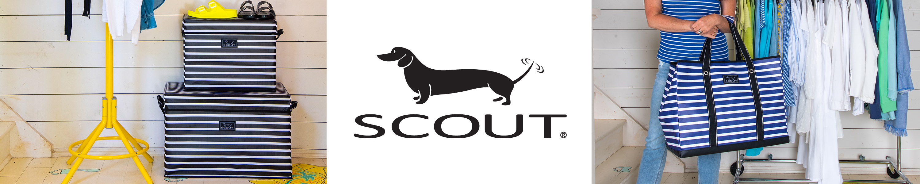 Amazon.com: SCOUT: Storage & Organization
