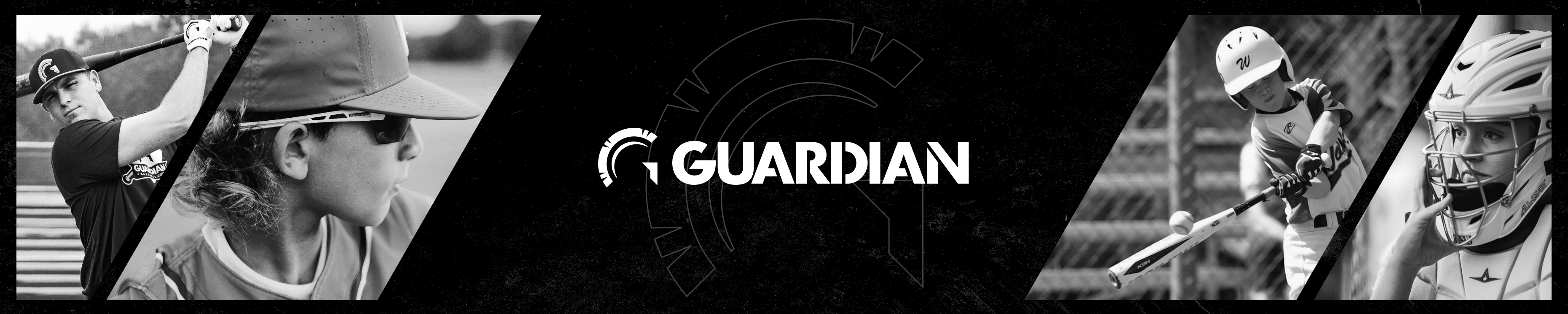 Amazon.com: Guardian Baseball: Bats