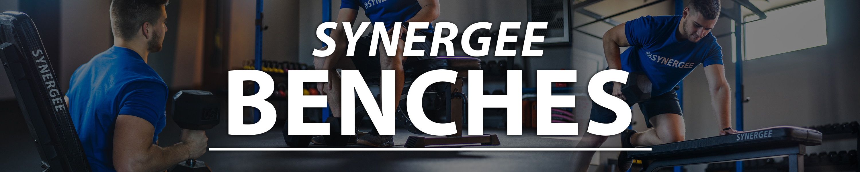 Amazon.com: Synergee: Benches
