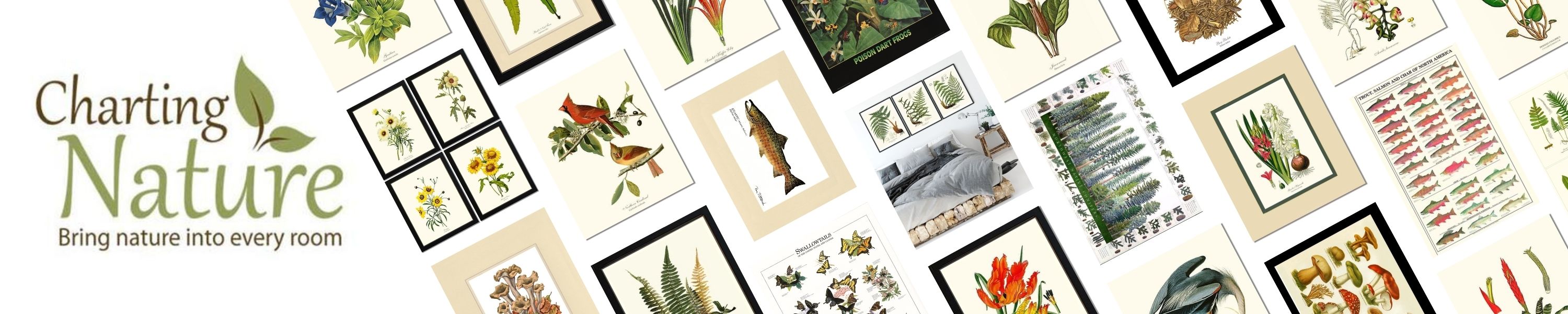 Amazon.com: Charting Nature