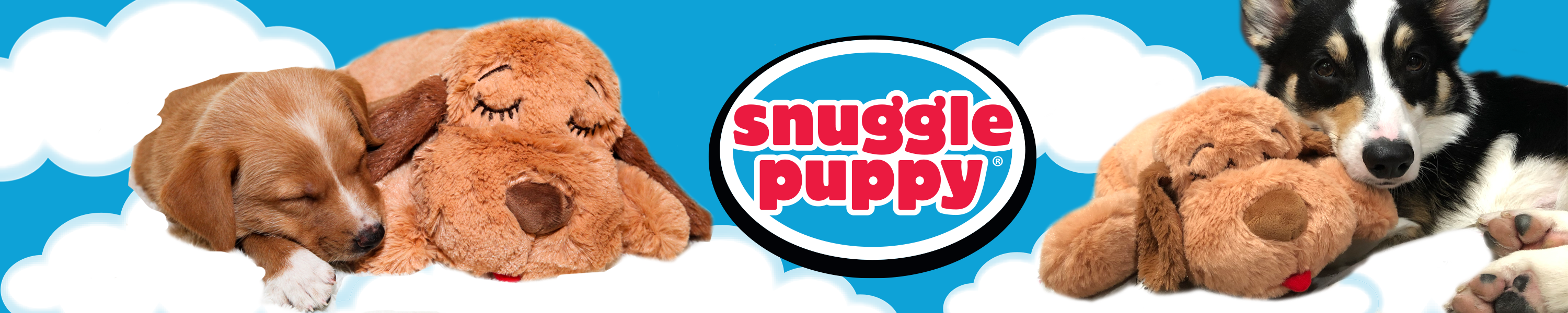 Amazon.com: Snuggle Puppy: Snuggle Puppy