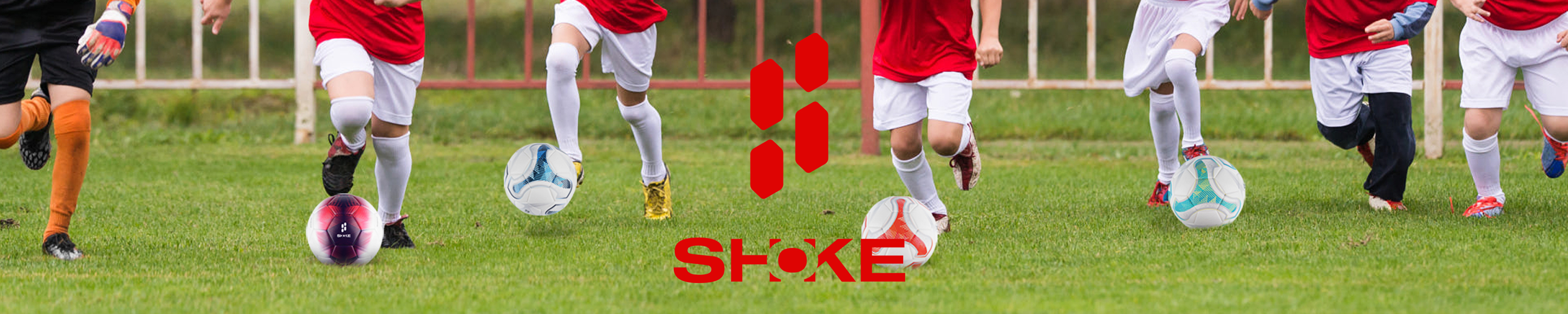 Amazon.com: SHOKE: SOCCER BALL